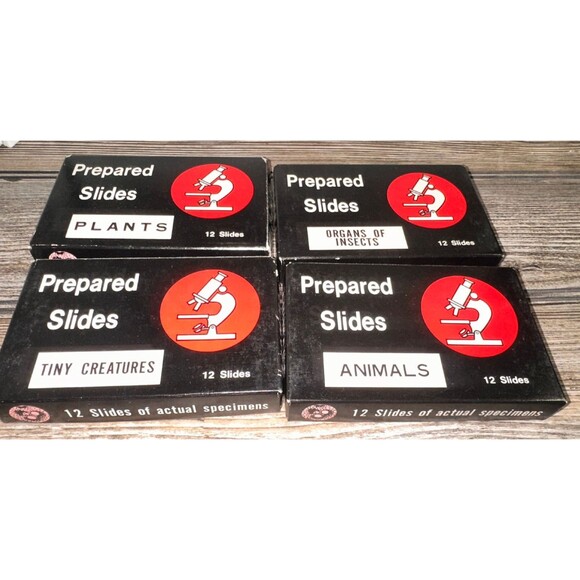 Office | Vtg 4 Prepared Microscope Slides Plants Organs Of Insects Tiny ...